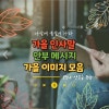 10월 가을인사말 이미지모음 가을안부글 짧은 문자 메시지 가을 편지글 코로나안부글 모음 네이버 블로그